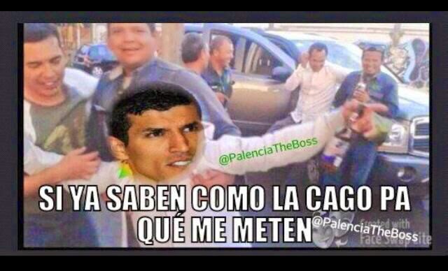 Los mejores memes de Cuy Corona y el Temo. ~ Noticias