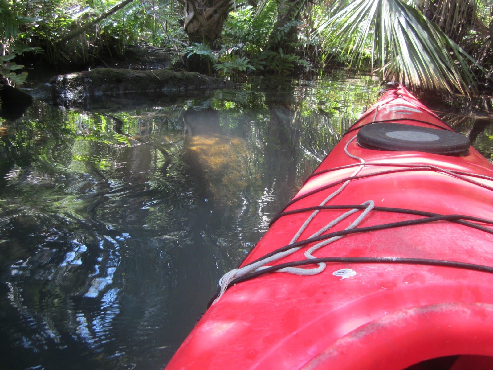 Dave's Yak Tales: Chassahowitzka