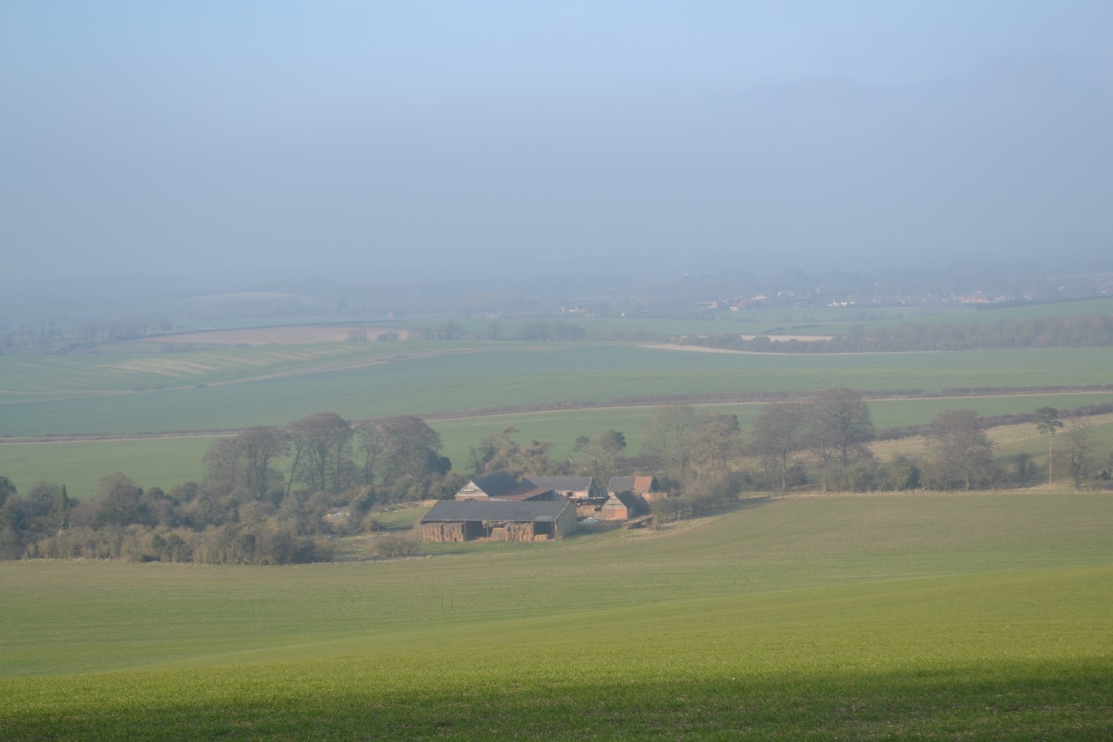 Walks among Flowers: Oxfordshire: Ewelme to Maidensgrove: Ancient ...