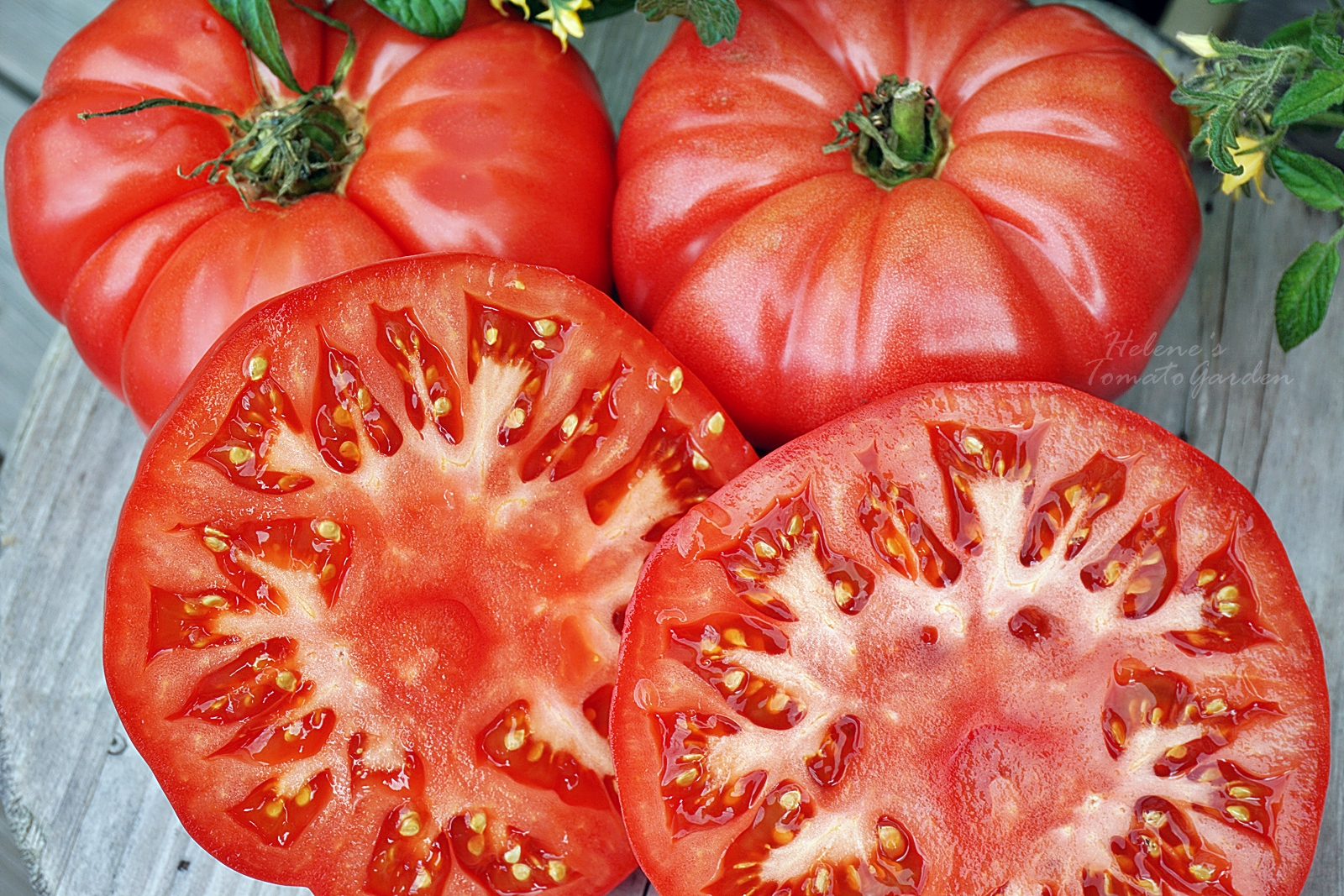 Helenes Tomater: Pomidory Malinowe