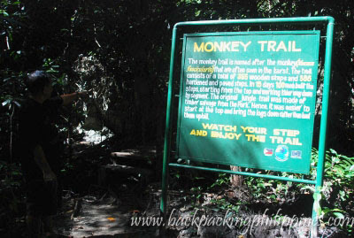 Backpacking Philippines: A Preview of the Jungle Trek/Monkey Trail ...
