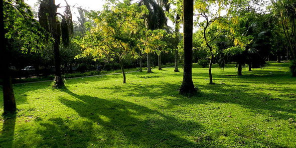 Ramna Park, the most beautiful place in Dhaka
