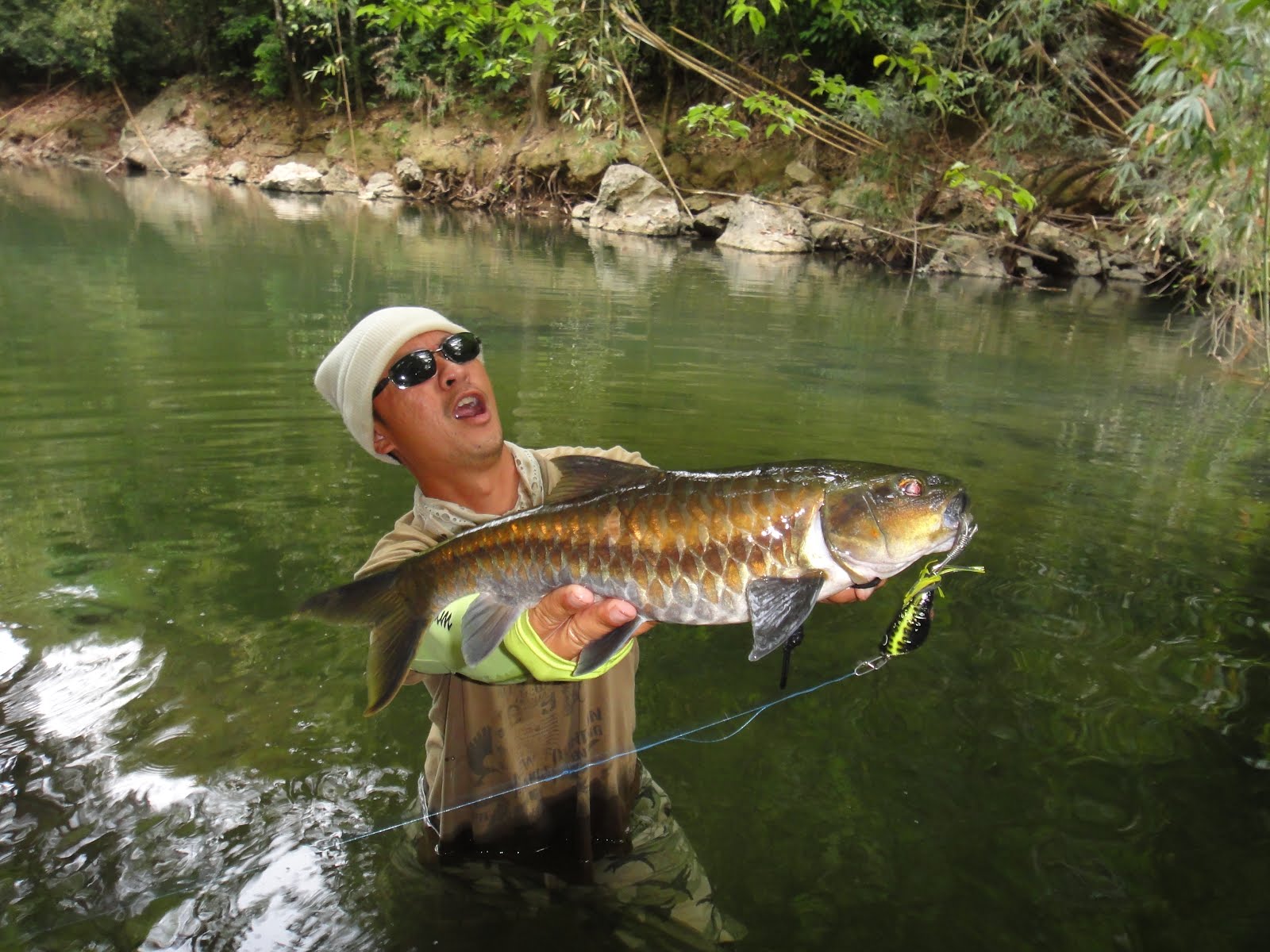 Thailand Giant Snakehead (Toman) And Wild Fishing.: The Golden Thai ...