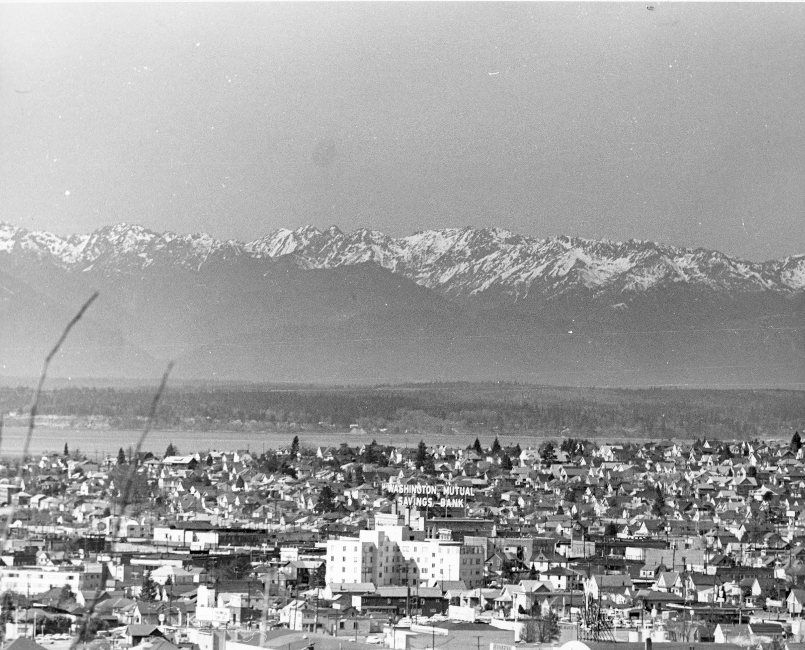 All This Is That: 1960 photograph of Ballard and the Olympic Mountains