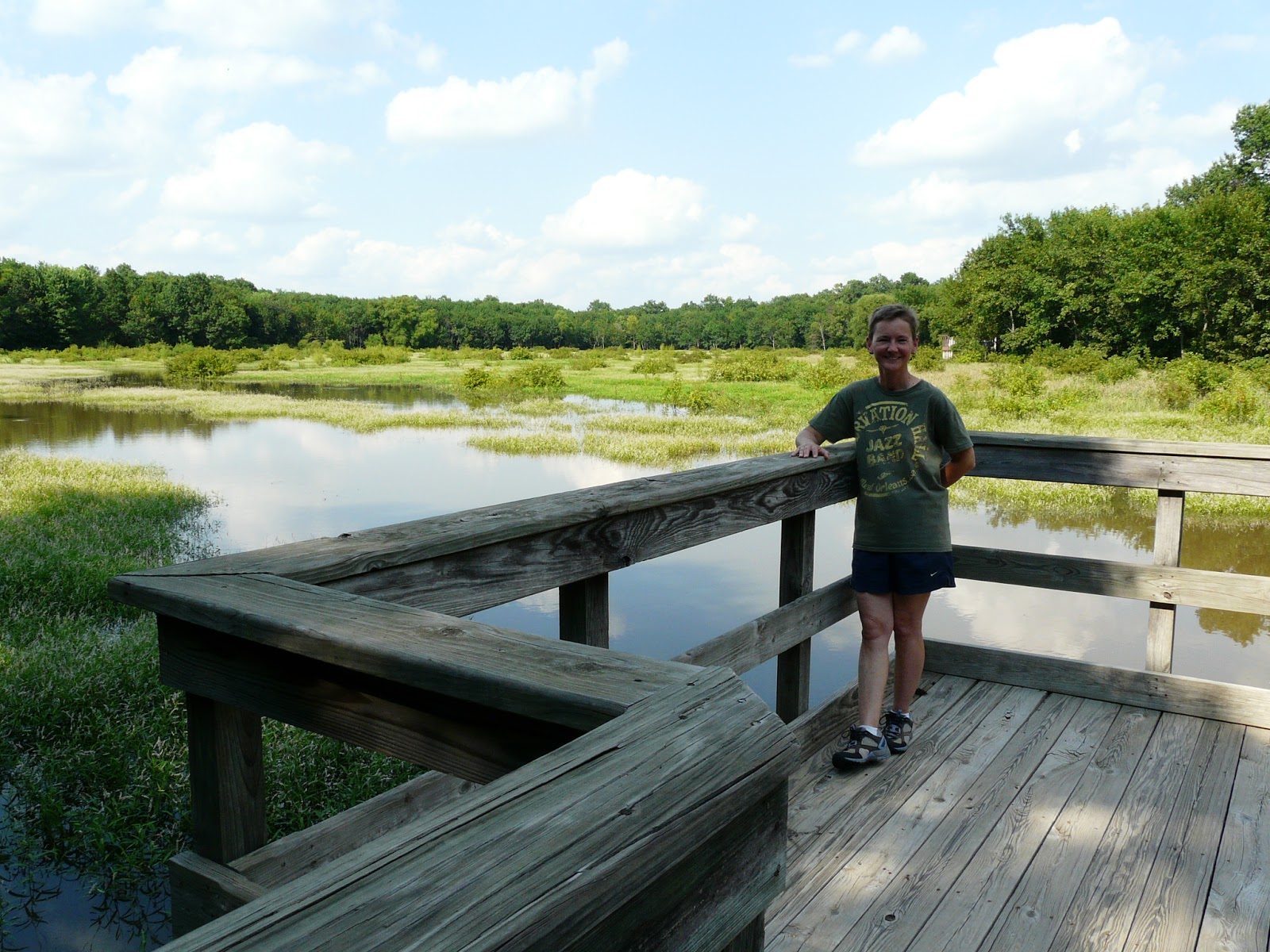 Archiving throughout Arizona, New Mexico, Oklahoma, and Texas: Deep ...