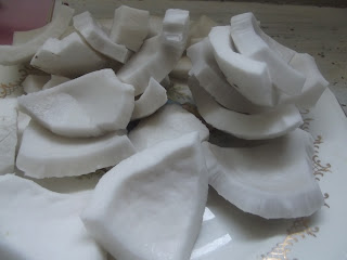 Fée-Maison avec Amour: SATINI COCO