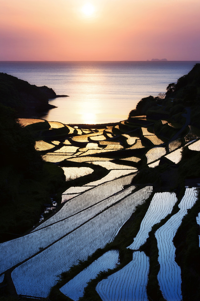 Keindahan Jelapang Padi di bandar Genai, Jepun
