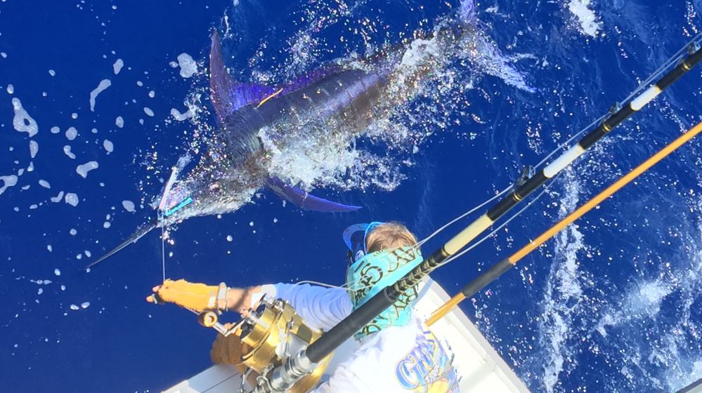 Maui Fishing Charters - Today's Fresh Catch: Rascal Fishing Charters