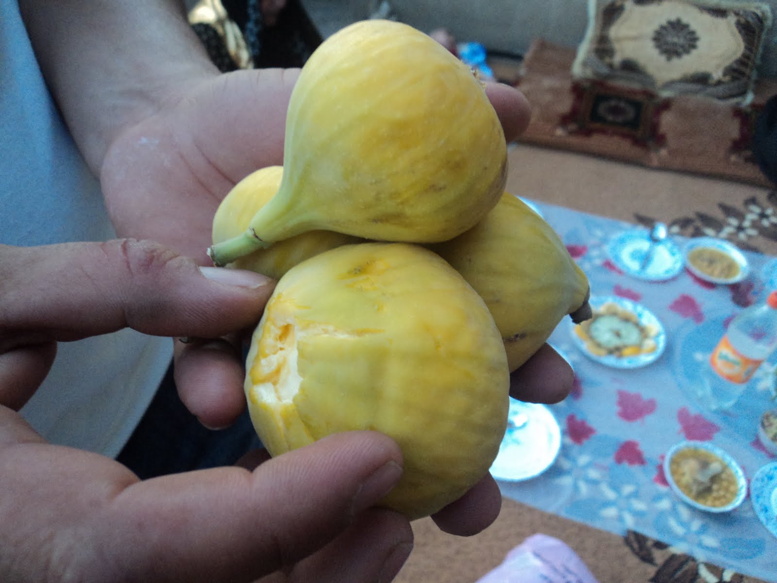 Kurdistan Adventures: Kurdish Food