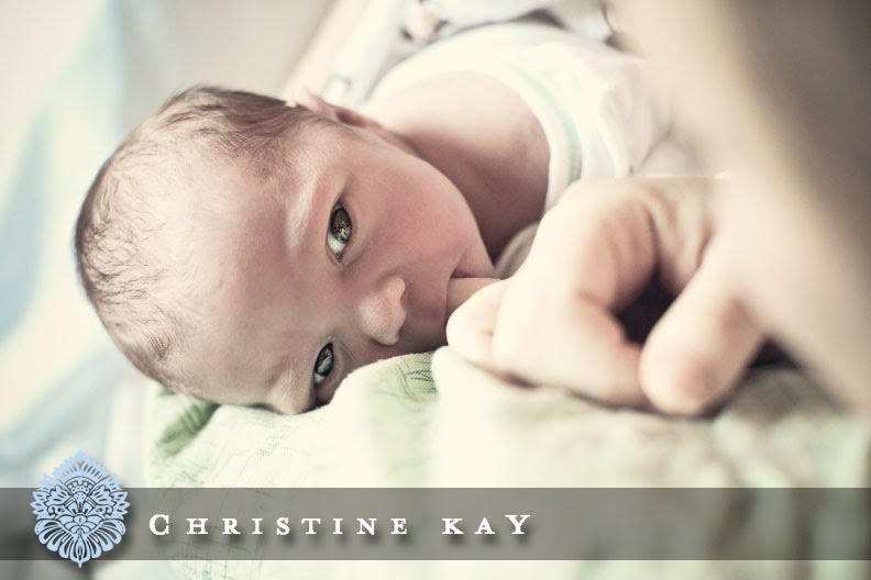Christine Kay Photography: A Fresh One! (Christine Kay, Chicago ...