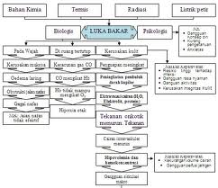Medical: COMBUTIO / LUKA BAKAR