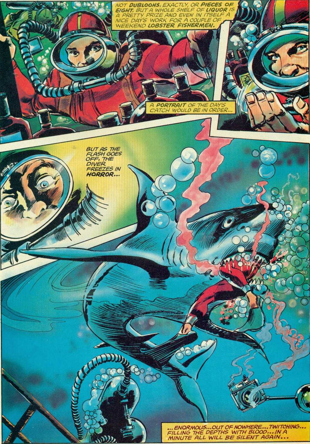 THE BOY DOES NOT PLAY WELL WITH OTHERS!: JAWS 2