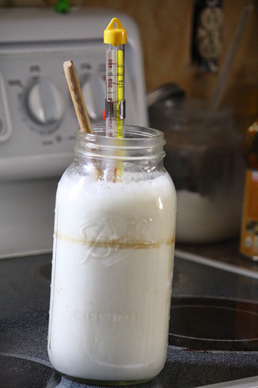 Little Wife On the Prairie: Laban (yogurt)