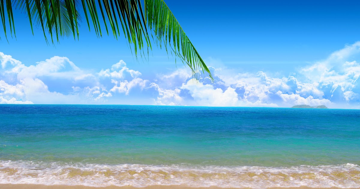 Fondos De Pantalla De Verano