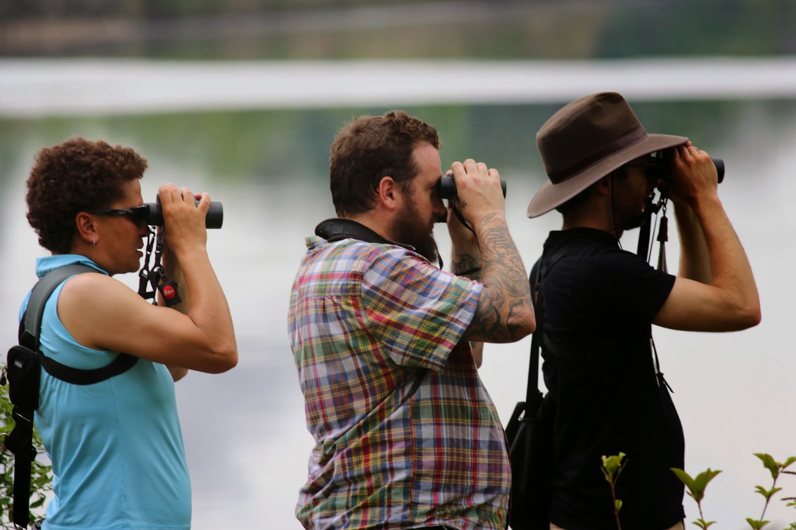 Delaware Valley Birding: The First Ever Philadelphia Bird Race