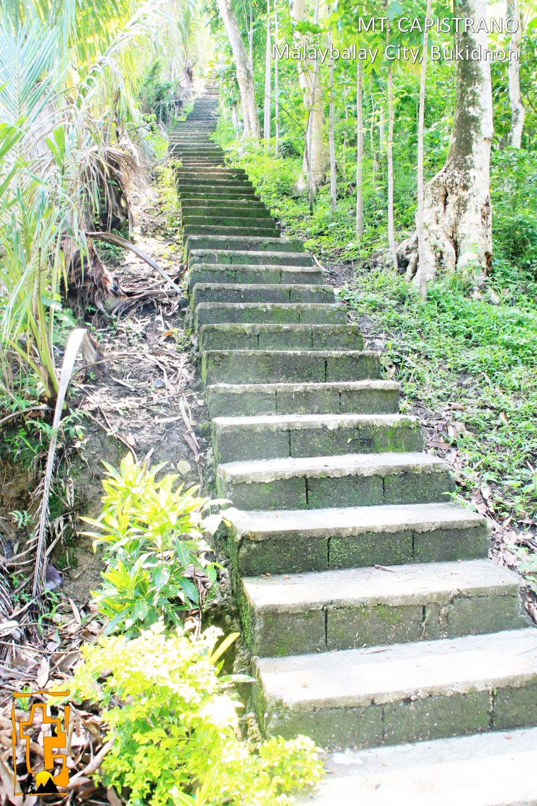 TREKERO: TREKKING MT. CAPISTRANO: A Quick Guide