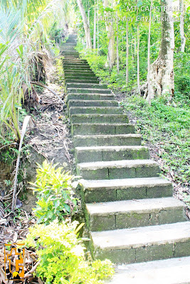 TREKERO: TREKKING MT. CAPISTRANO: A Quick Guide