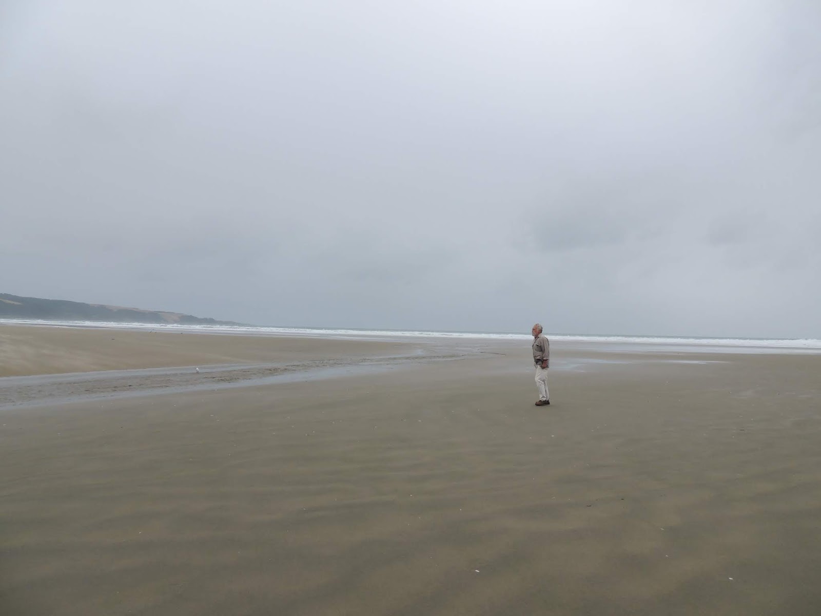 THE ROAD TAKEN : Nutrition, Ahipara, and 90-Mile Beach
