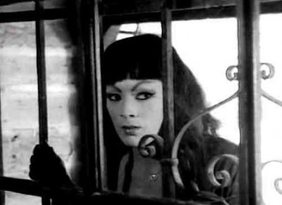 SHAMPALOVE: Faster Pussycat KILL KILL