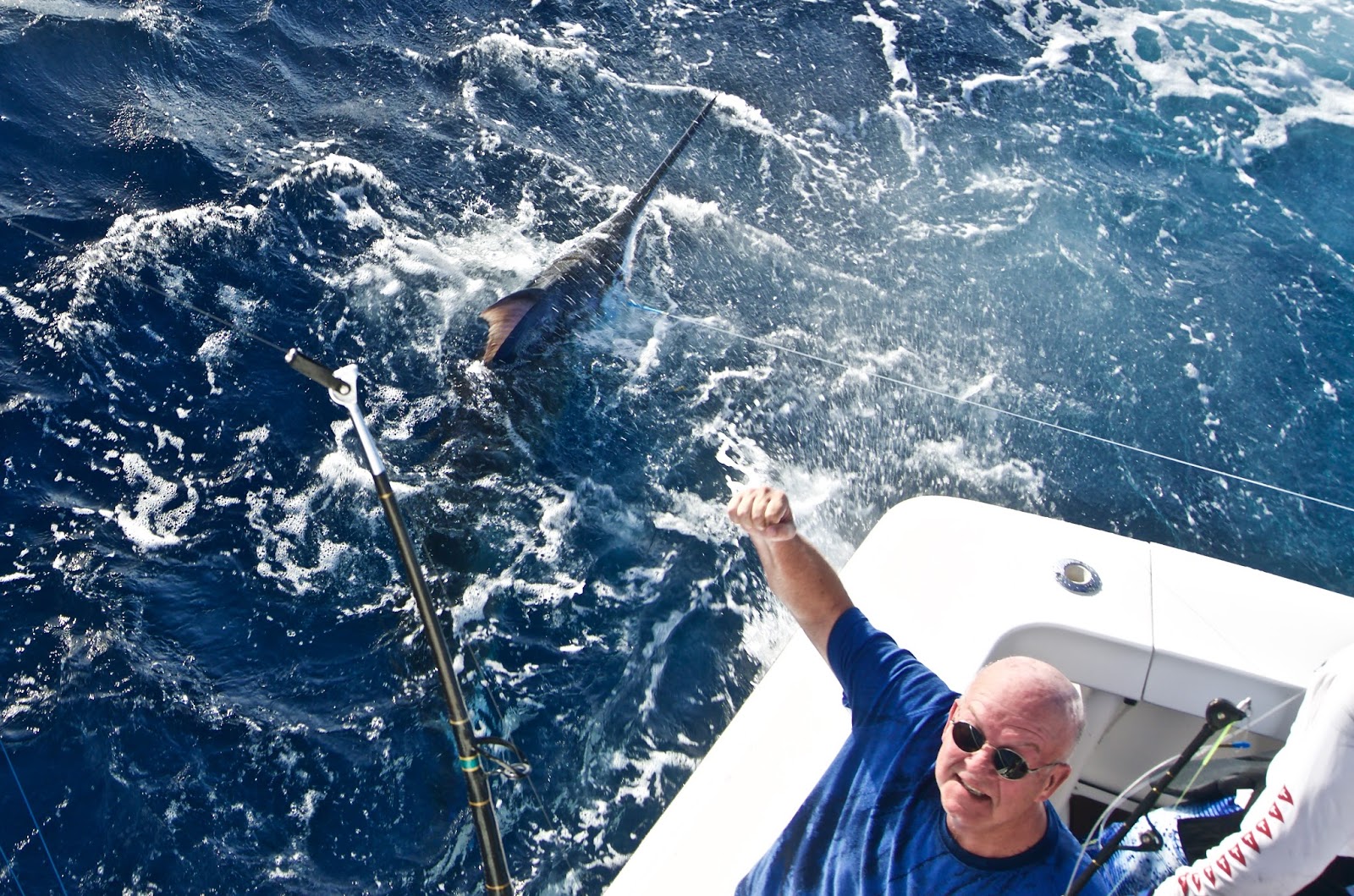 REPORTS FROM THE RIP: Marlin and Mermaids (Lots of marlin pics)