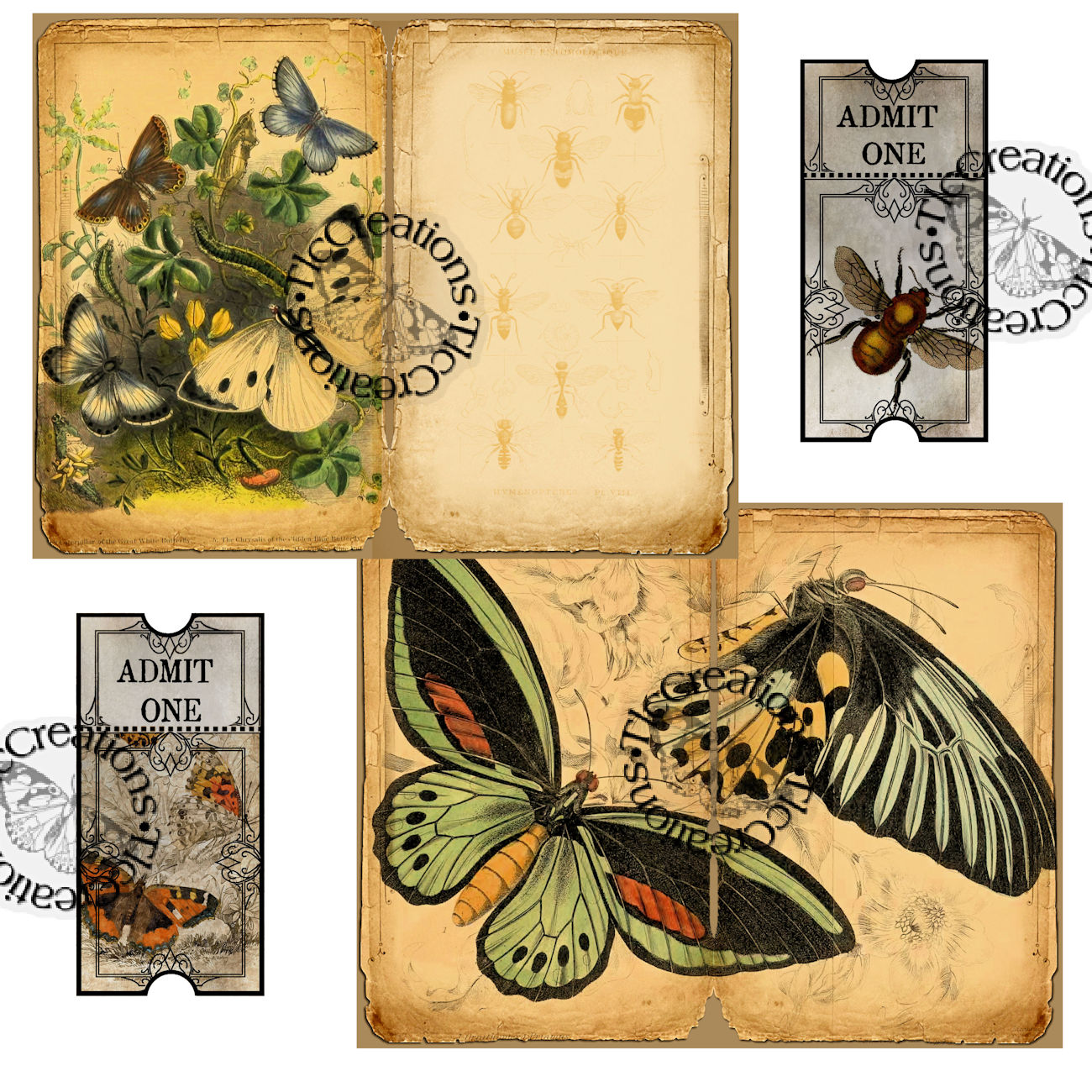 Create with TLC: Butterflies, Bees and Bugs....Plus a Freebie