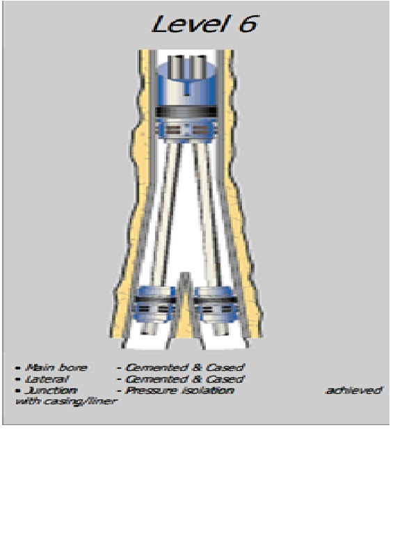 Drilling and Completion of Multilateral Wells | petroleum pedia