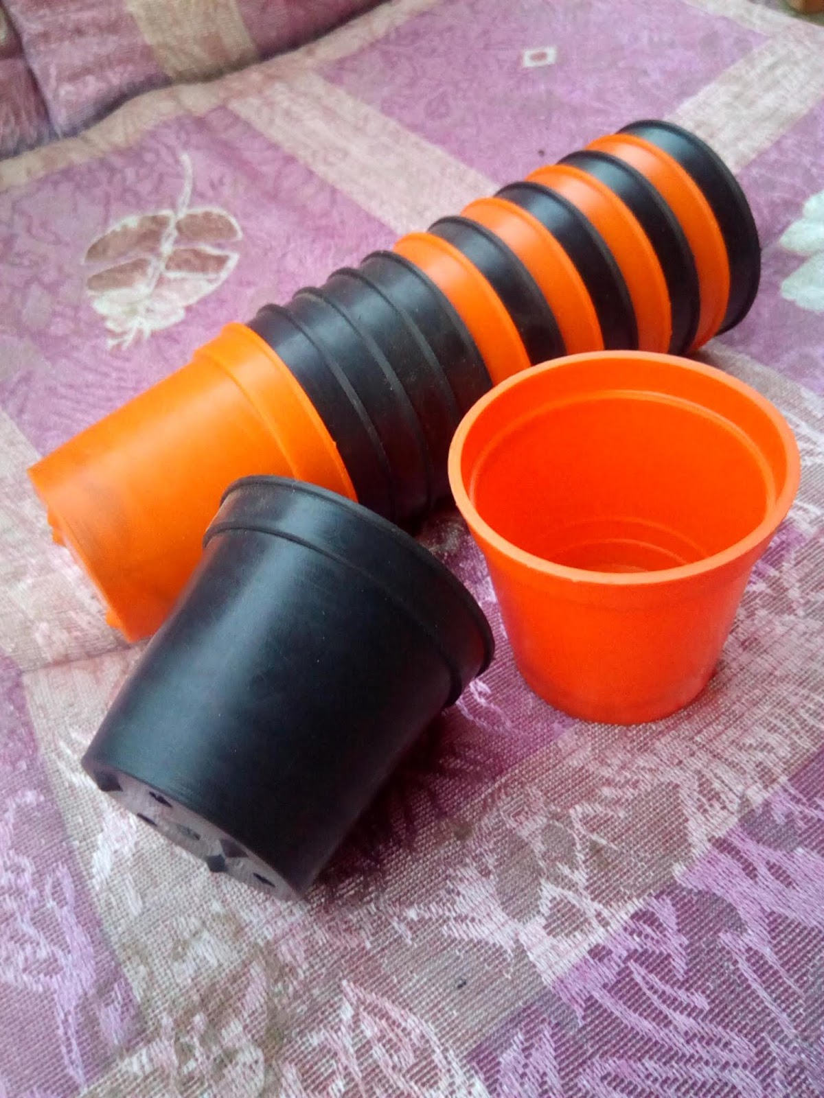 Plastika Stara Pazova: O nama