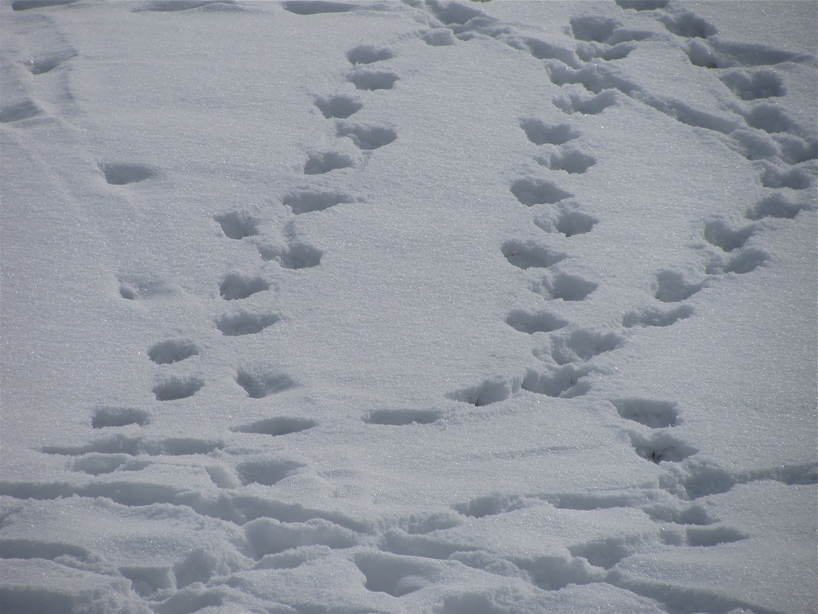 Standing Into Danger: Oh! Oh! Aliens!