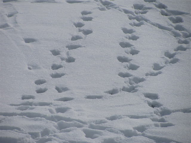 Standing Into Danger: Oh! Oh! Aliens!