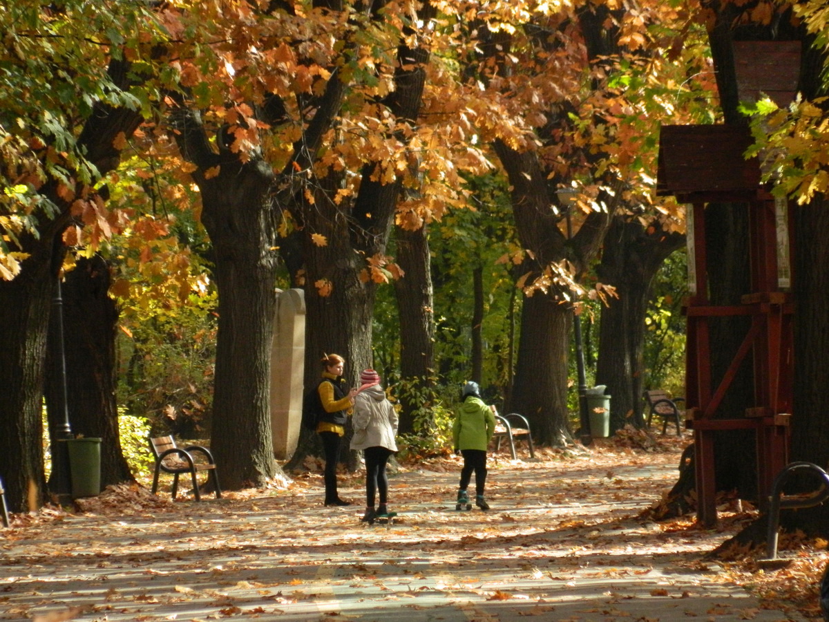 LA MULTI ANI, ROMANIA!: Copii in parc