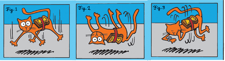 Bytes: Buttered Cat Paradox