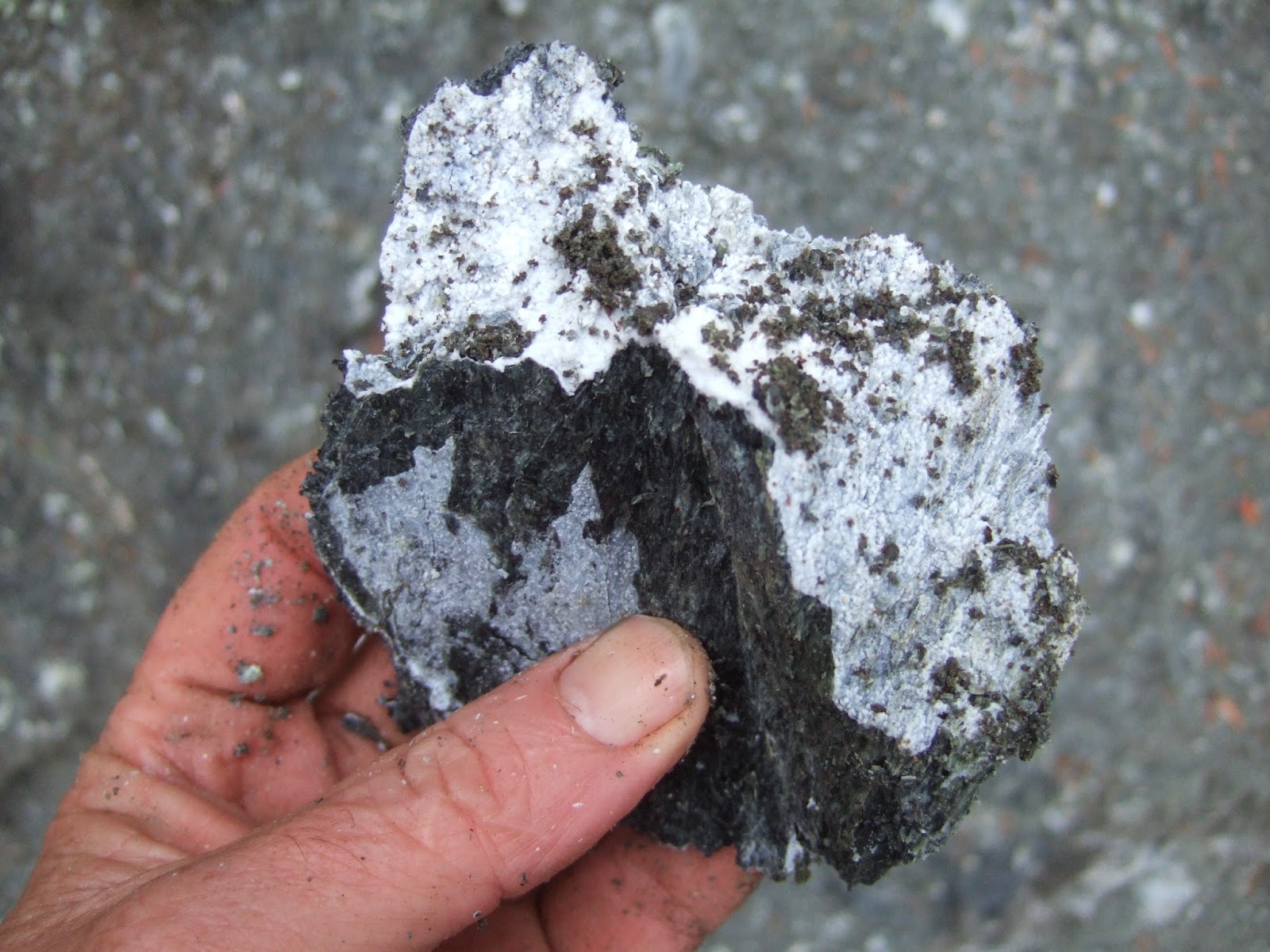 Reading the Washington Landscape: Orcas Island Tectonic Zone on East Sound