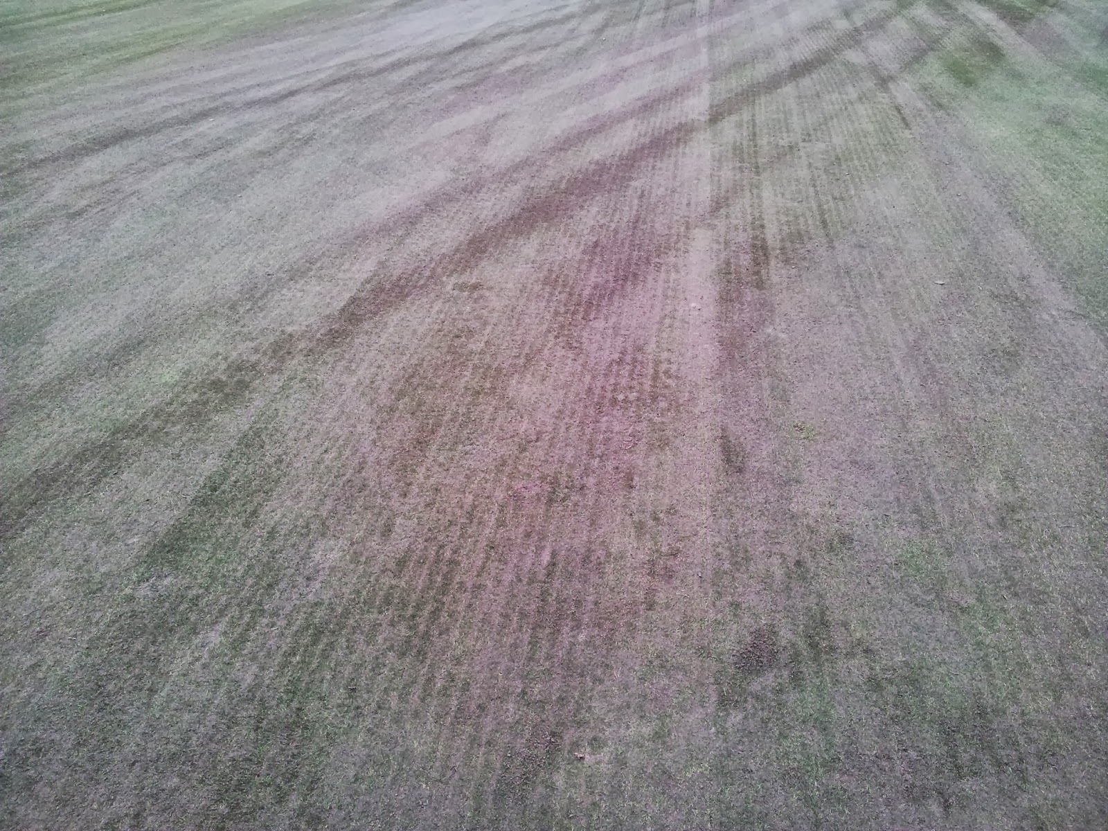 Bolton Old Links Golf Club: Scarifying Greens