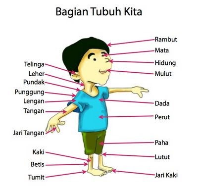 Tubuh Badan Saya