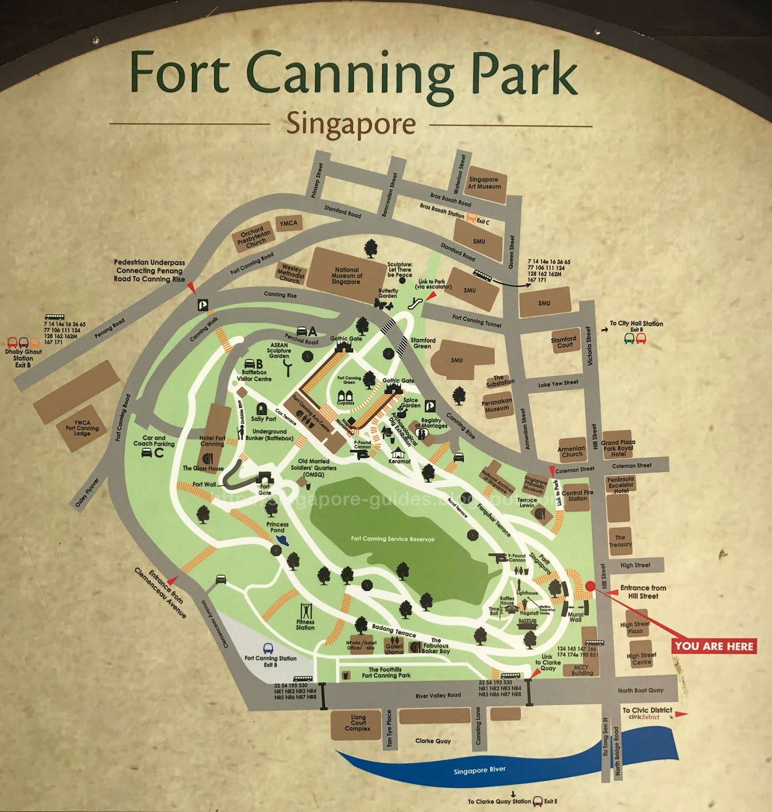 อุโมงค์ต้นไม้ยักษ์ที่ Fort Canning Park