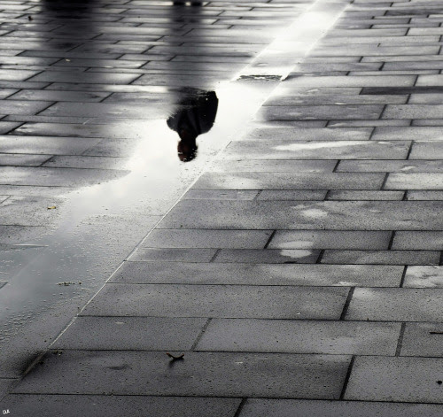 TIMBERWOLF PHOTO LOUNGE 2: PROJ#10: PUDDLES & REFLECTIONS