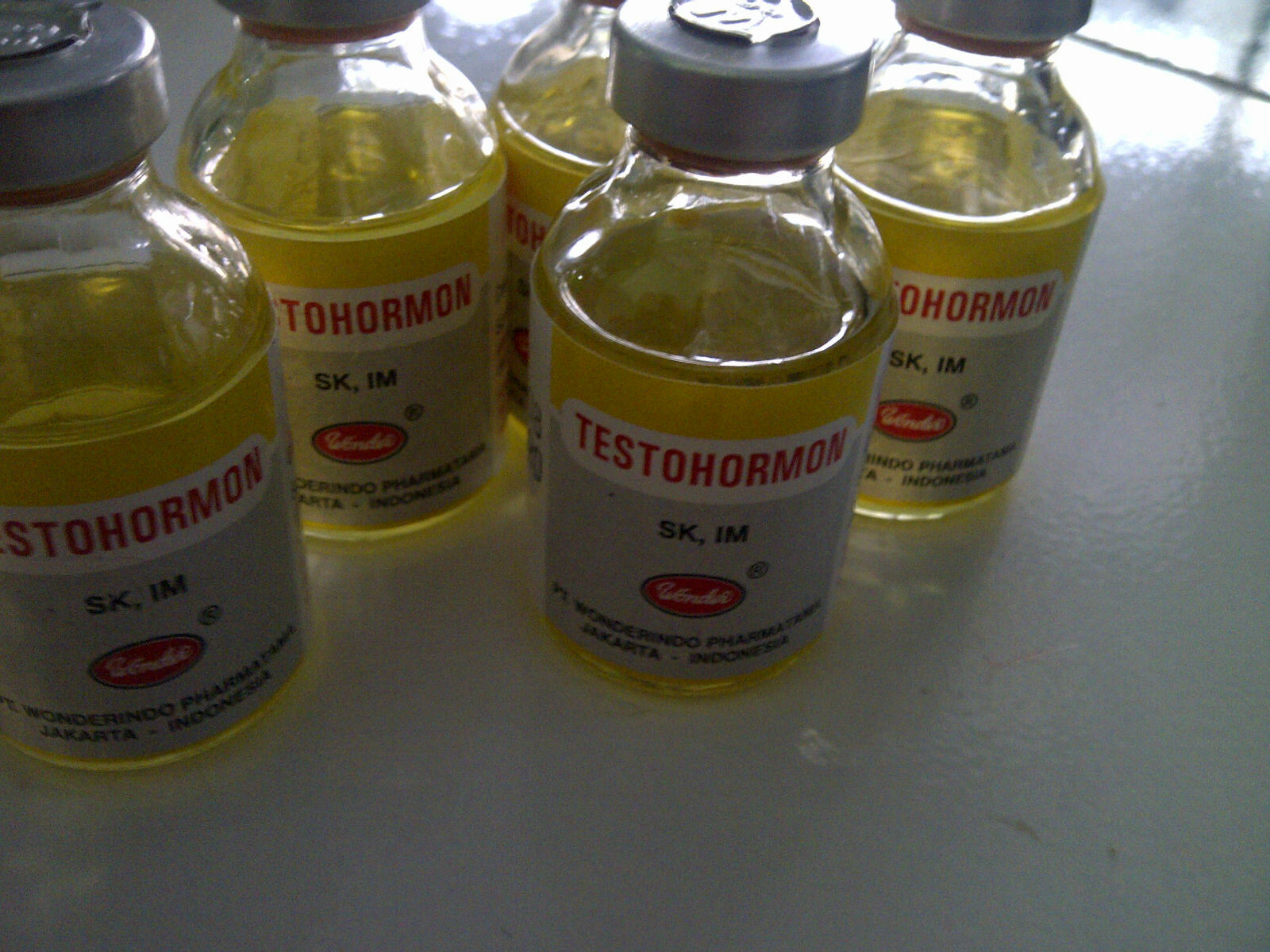 ALAT TERNAK SAPI TERBARU: OBAT HORMON TERNAK