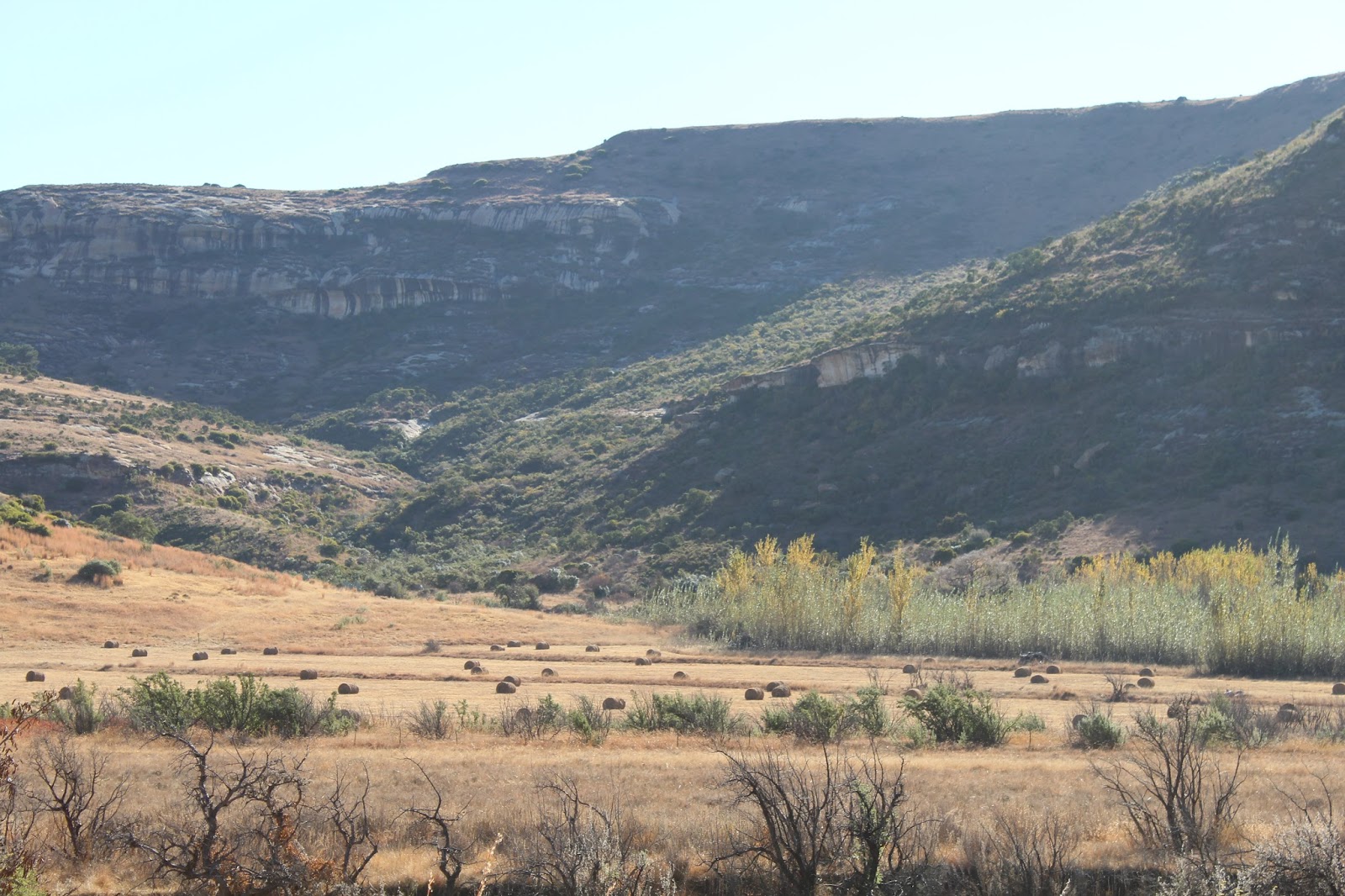 The Agri Handbook Blog: Rustler's Valley: view from a neighbour