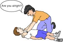 New Life Survival Guide: FIRST AID: The Primary Survey