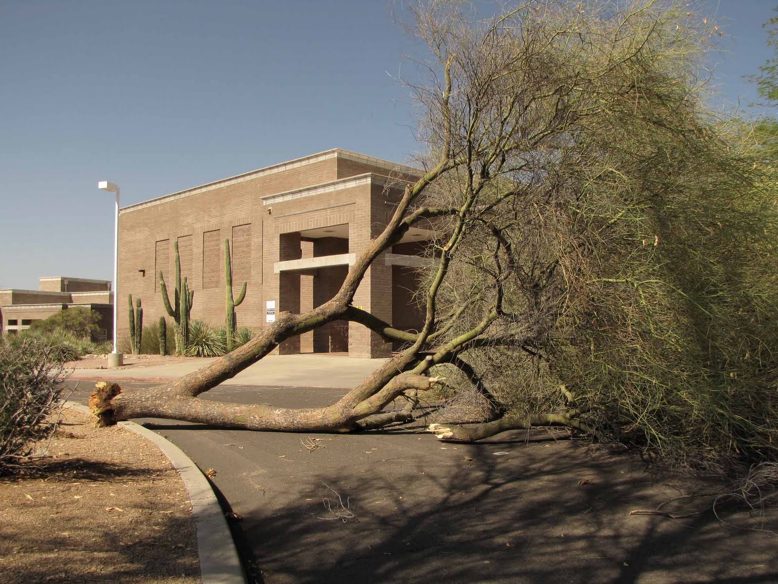 Desert Colors: July 2011