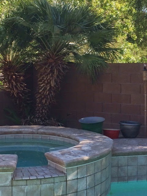 I May Be Overthinking This: Seven Quick Takes Friday