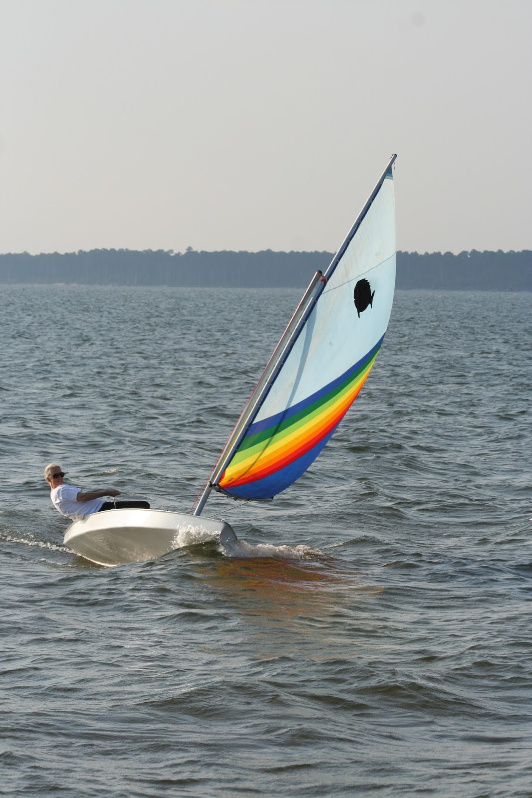 Wooden sunfish sailboat for sale Document ~ Boat plans wow