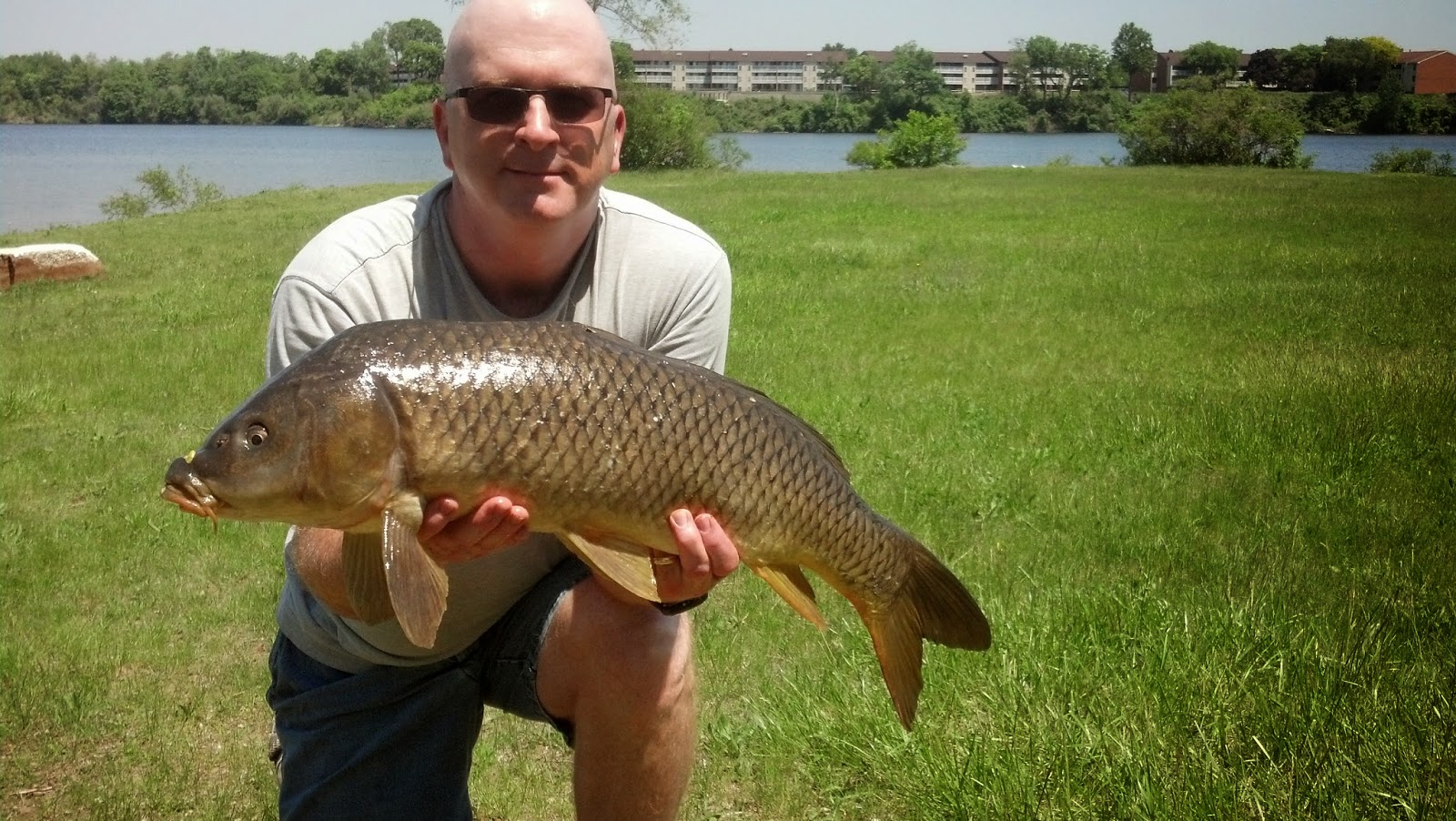 Michigan Carp Fishing Blog: Morning Carp Session