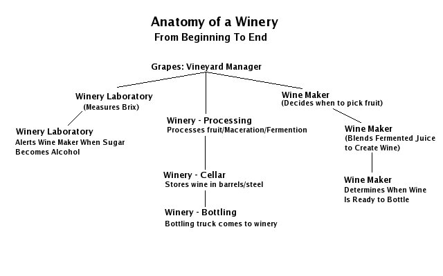 Anatomy of A Winery