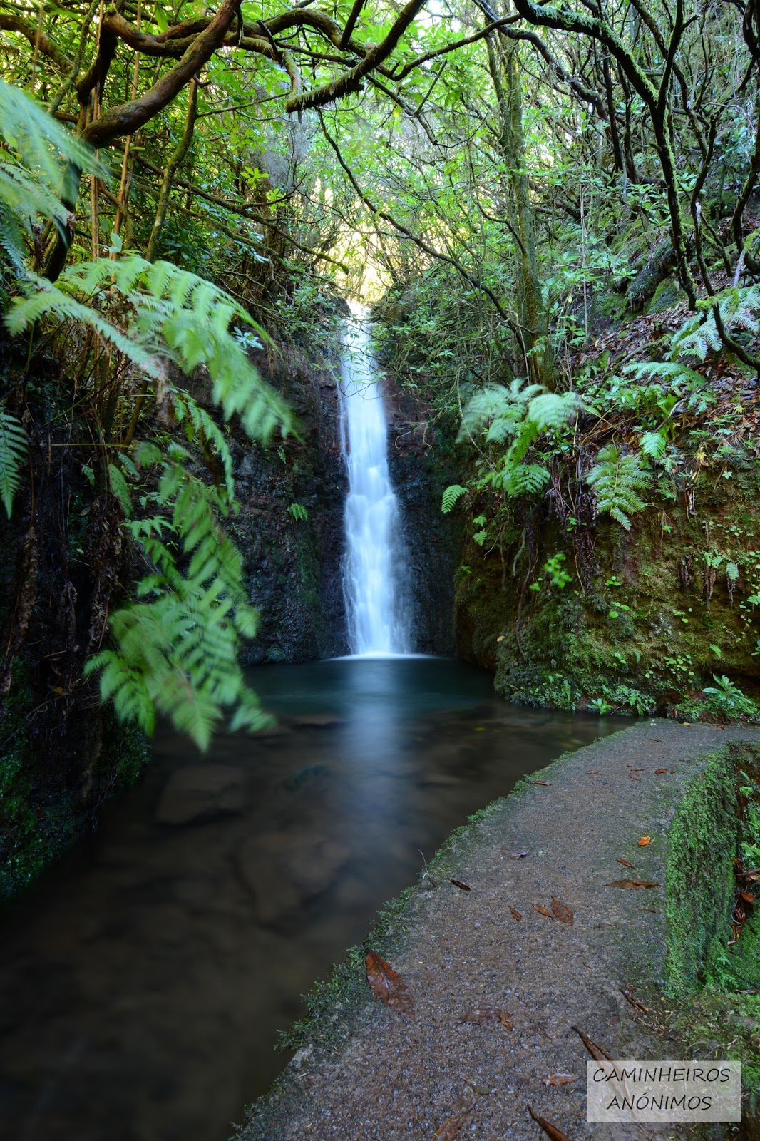 Caminheiros Anónimos Levadas da Madeira : Levada Grande (Achadas da Cruz)