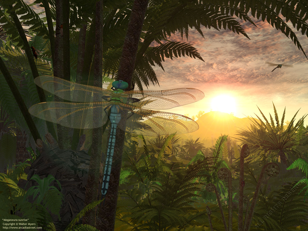 Meganeura - JungleKey.fr Image