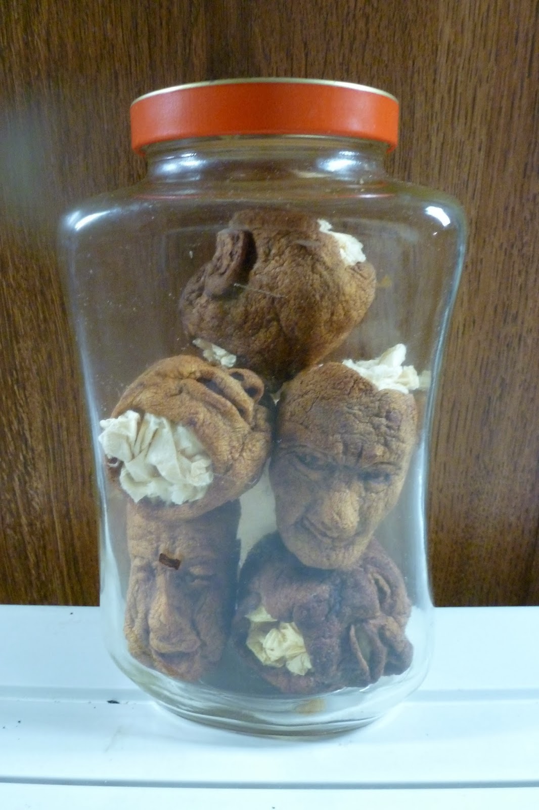 Junk in My Basement: OBJECT #25: Shrunken Apple Heads