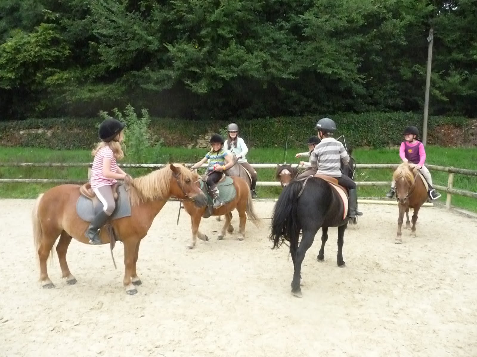 Poney Club d Alencon equitation: Decouverte du Horse Ball au Poney club ...