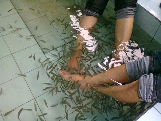 Aku Ingin Sembuh: Terapi : Pengertian, Jenis, Manfaat, dan Efek Samping ...