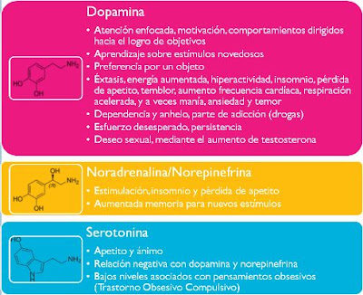 La Última: Neuropsicología del amor